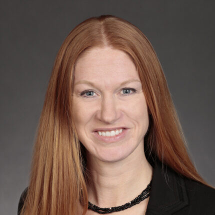 WHO WE ARE – Political Network for Values