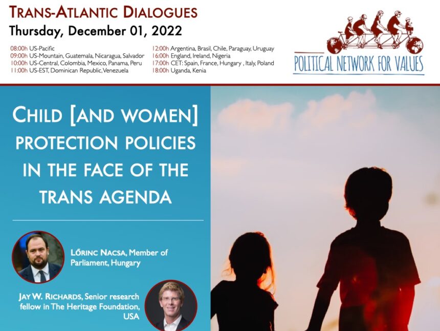 WHAT WE DO – Political Network for Values